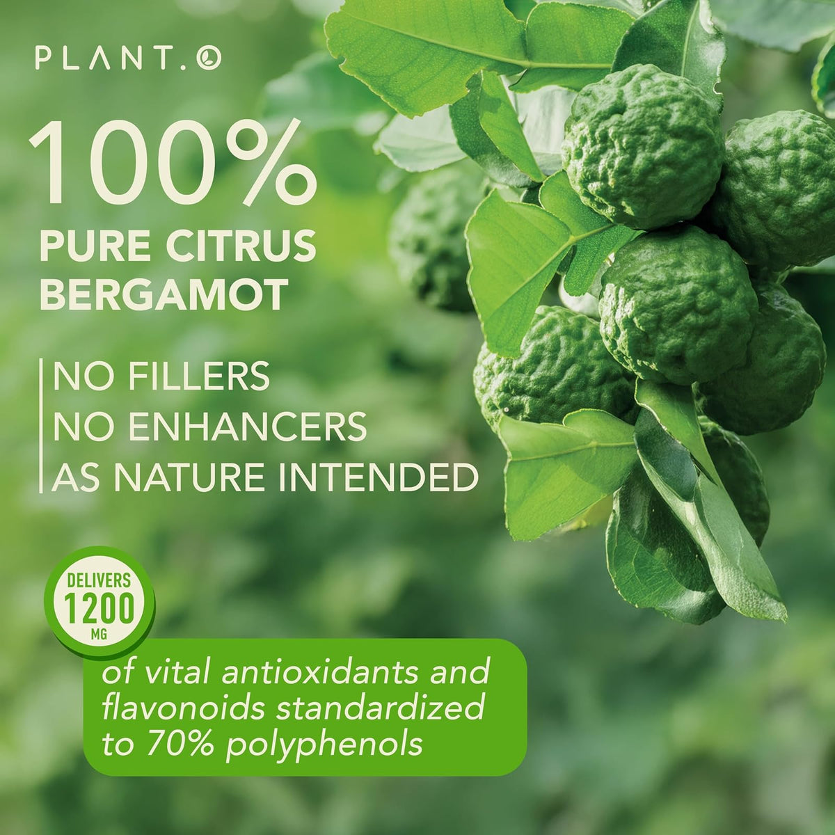 boost your immune system naturally