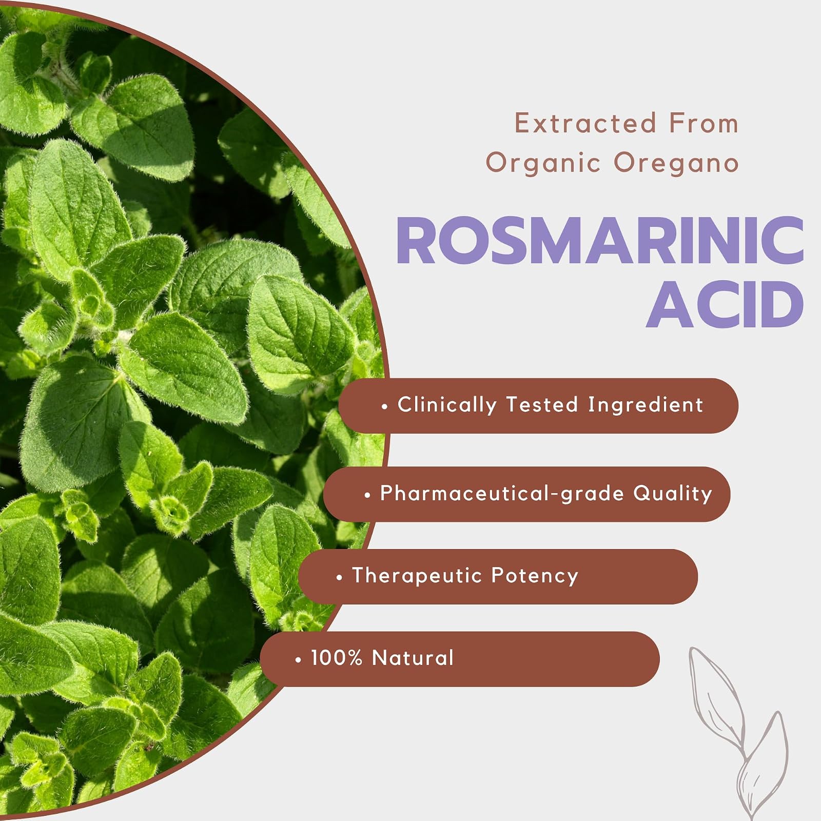 boost your immune system naturally