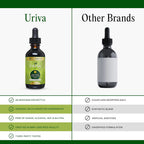 boost your immune system naturally