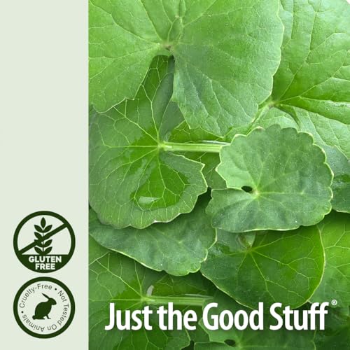 Boost your immune system naturally