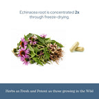 Boost your immune system naturally