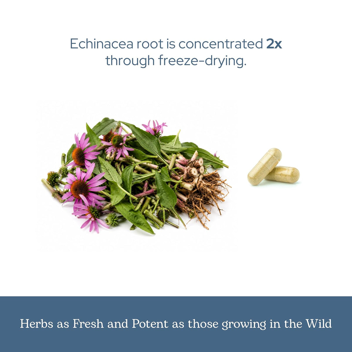 Boost your immune system naturally