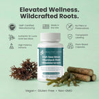 boost your immune system vitamins
