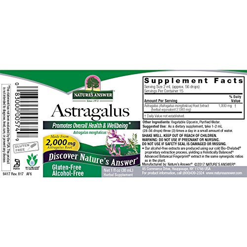 boost your immune system with astragalus