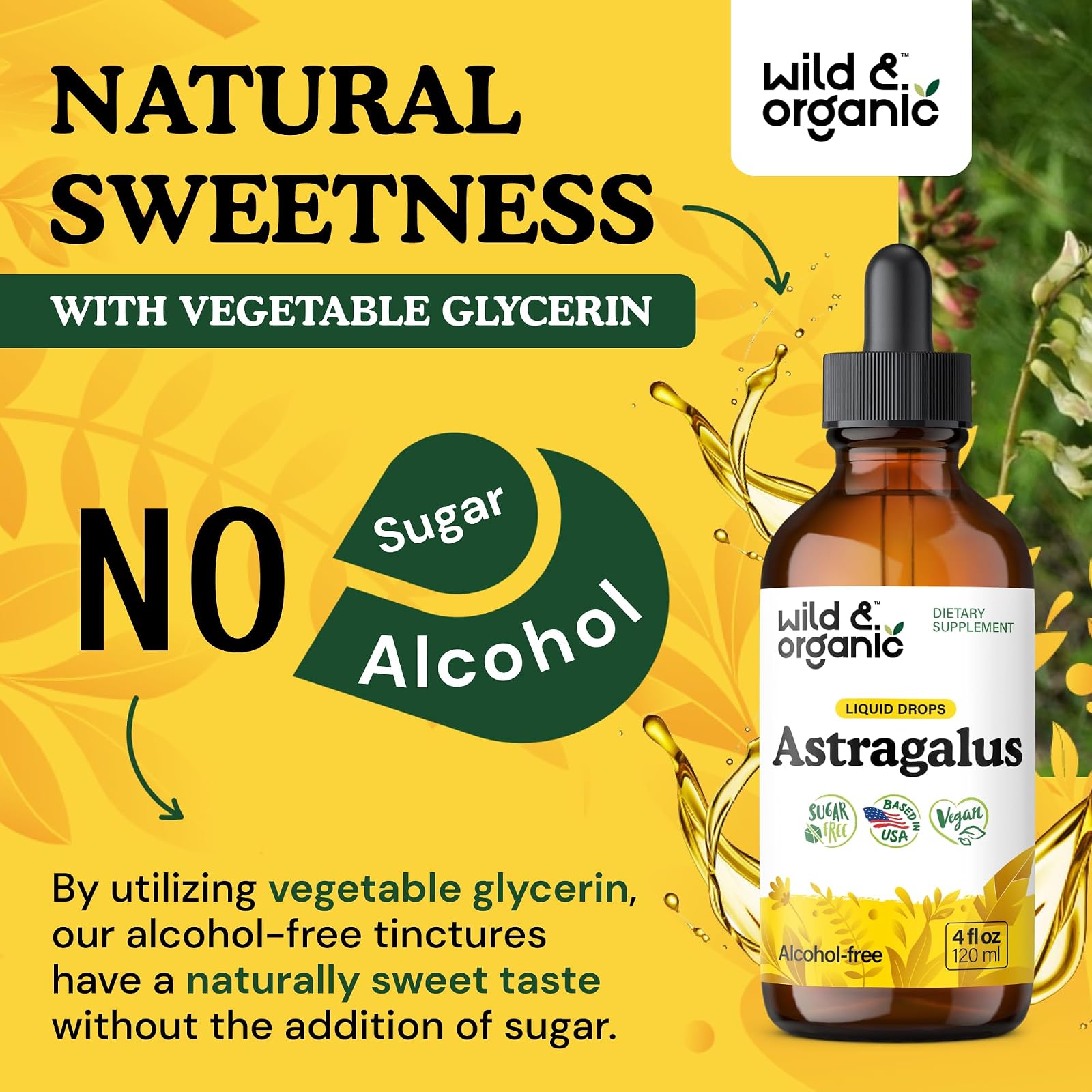 boost your immune system with astragalus