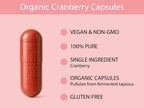 boost your immune system with cranberries