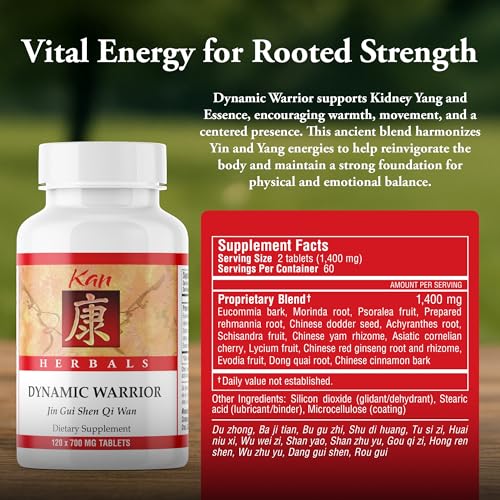 Boost your immune system with Dynamic Warrior