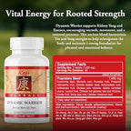Boost your immune system with Dynamic Warrior