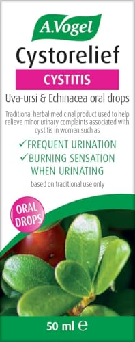 boost your immune system with echinacea