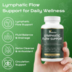 Boost your immune system with Echinacea