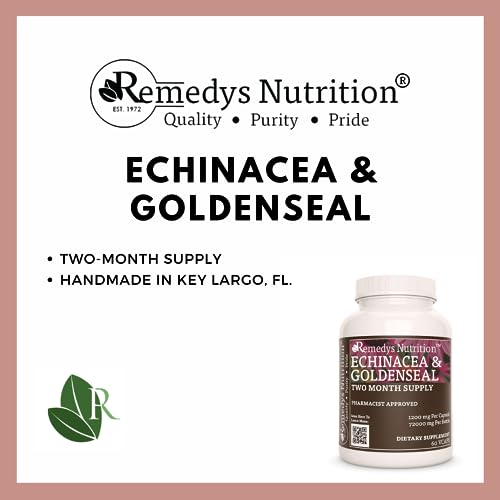 Boost your immune system with echinacea