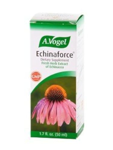Boost your immune system with echinacea