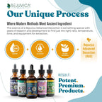 boost your immune system with echinacea