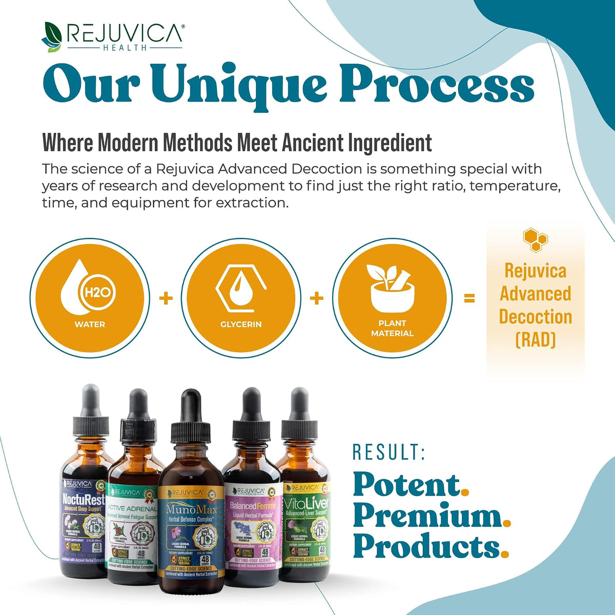 boost your immune system with echinacea