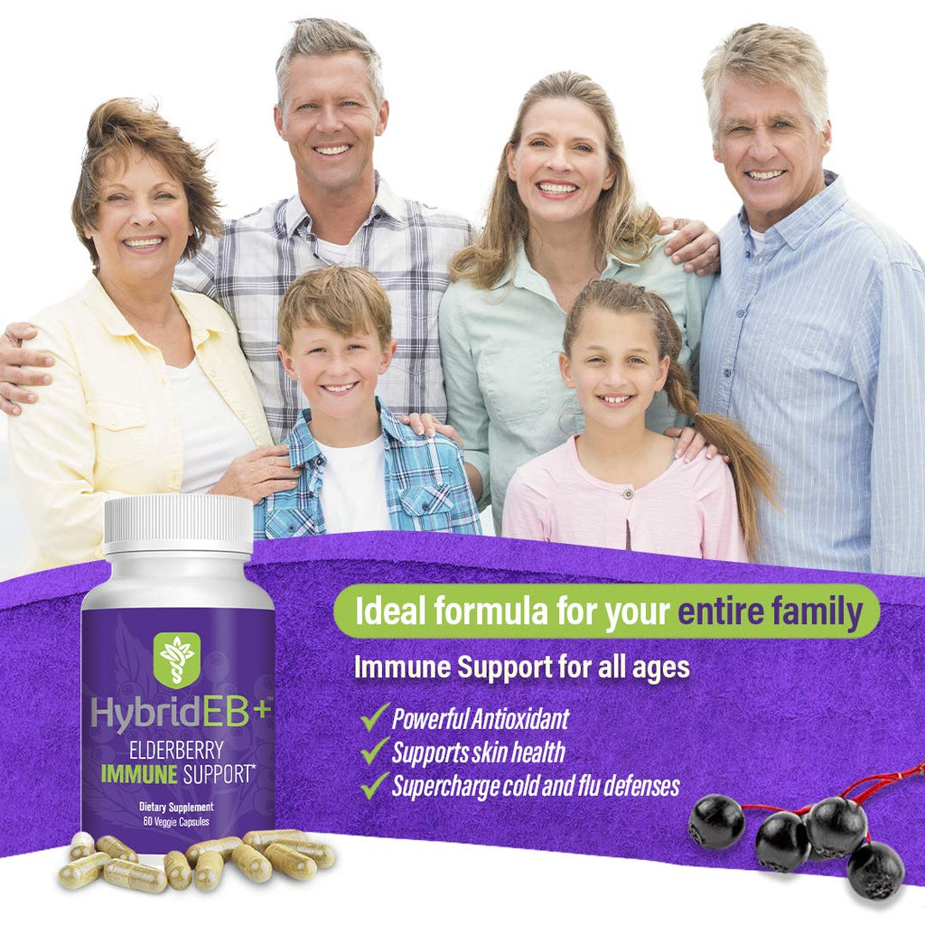 boost your immune system with elderberry