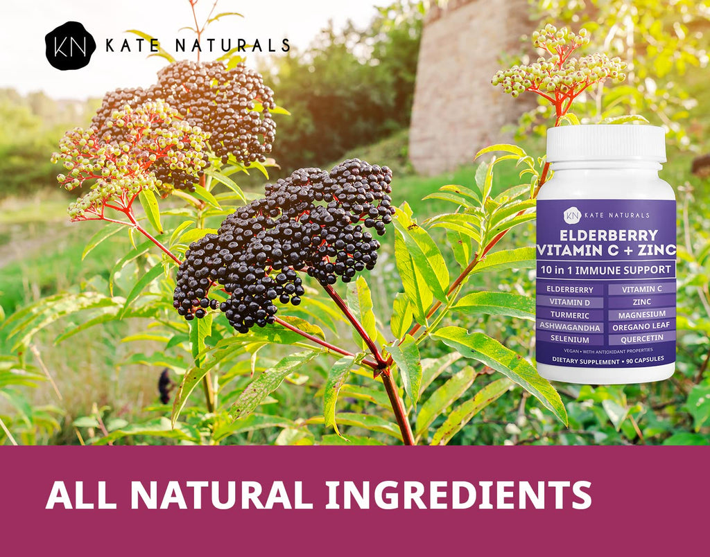 boost your immune system with elderberry