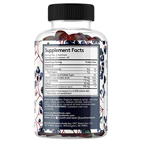 boost your immune system with elderberry