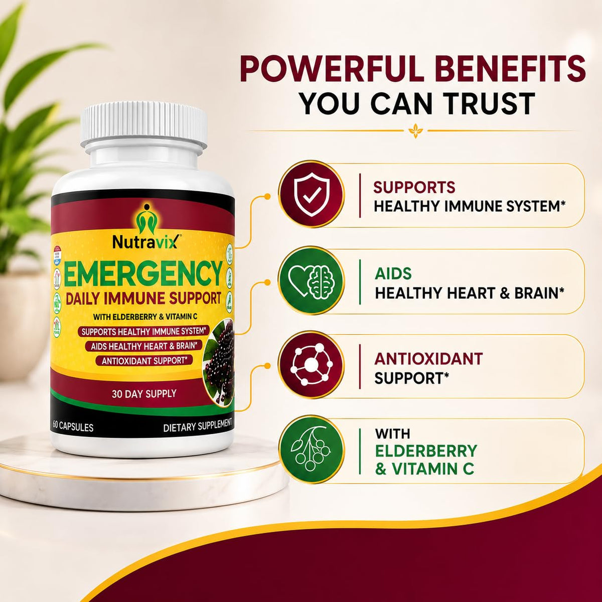 boost your immune system with elderberry