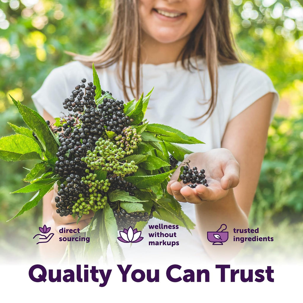 Boost your immune system with elderberry