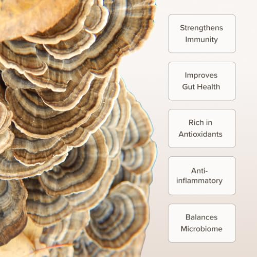 Boost your immune system with mushrooms