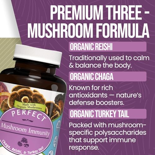 boost your immune system with mushrooms