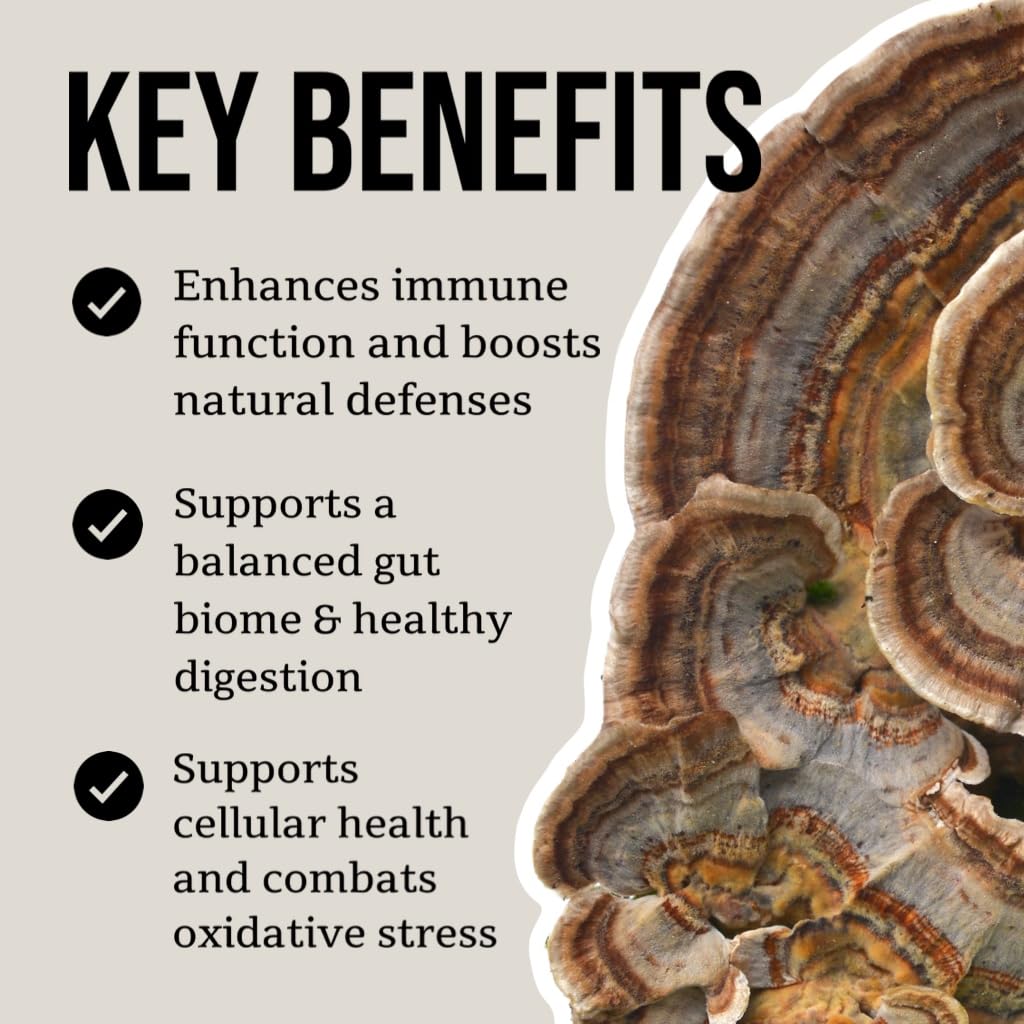 Boost your immune system with mushrooms