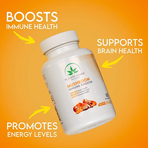 Boost your immune system with mushrooms