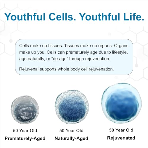 Boost your immune system with Rejuvenal