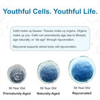 Boost your immune system with Rejuvenal