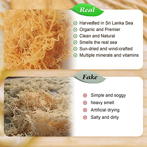 boost your immune system with sea moss