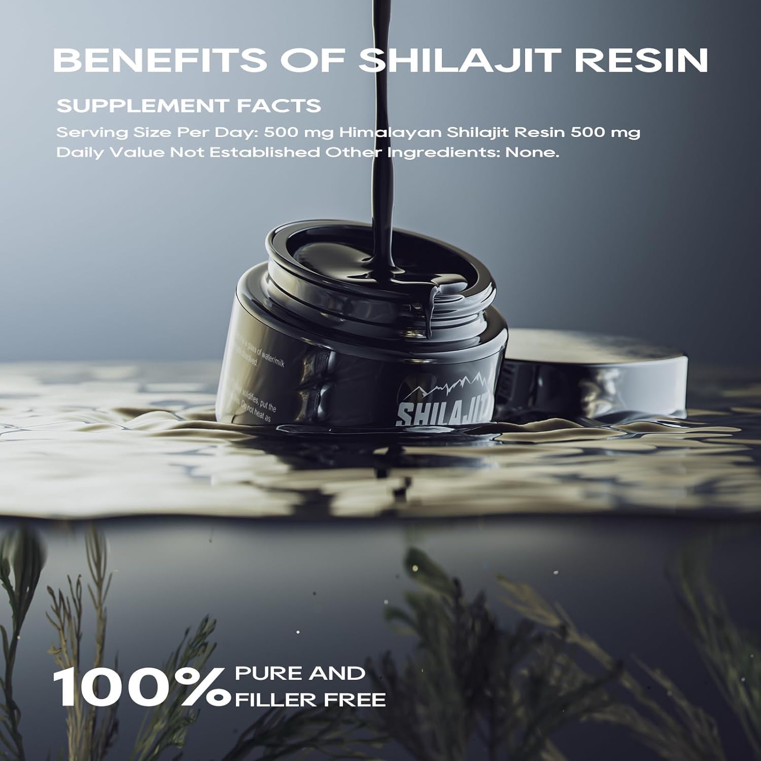 Boost your immune system with Shilajit
