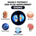 Boost your immune system with SOD Plus