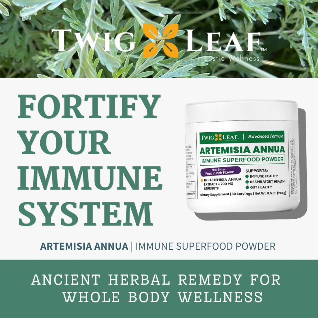 boost your immune system with superfood