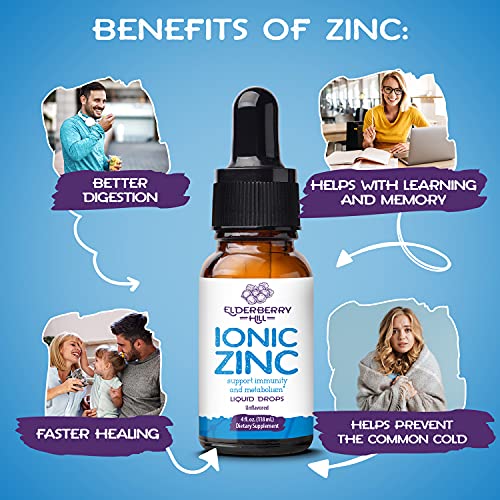 boost your immune system with zinc