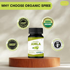 boost your immunity with amla