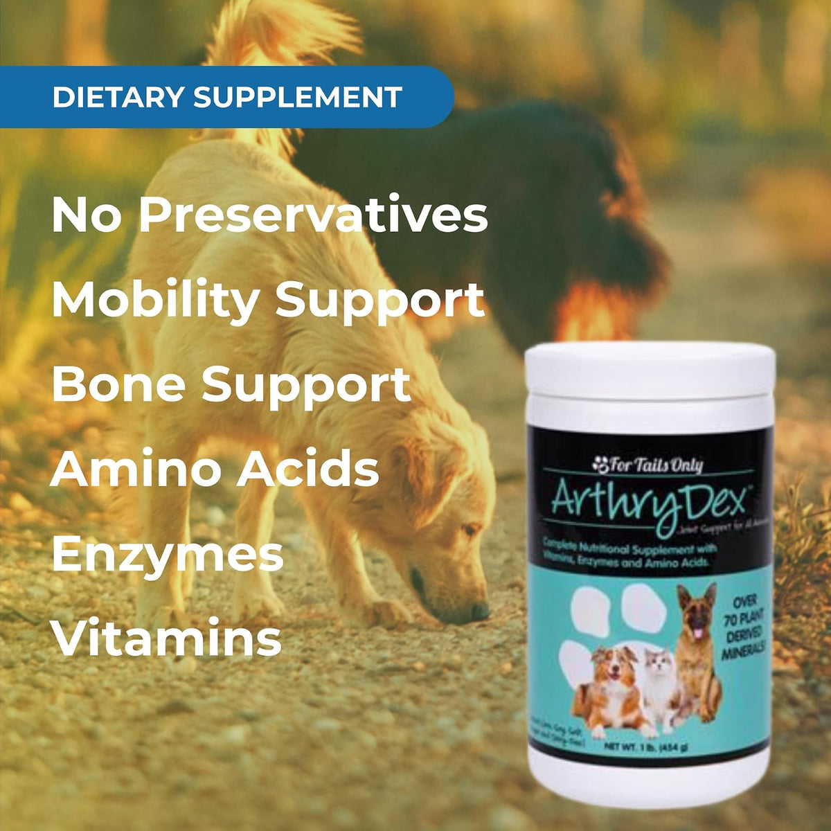boost your immunity with ARTHRYDEX