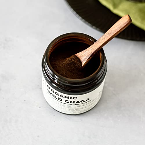boost your immunity with chaga mushrooms