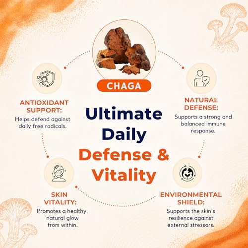 boost your immunity with chaga