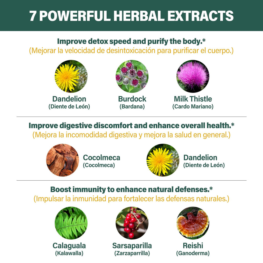 boost your immunity with Cocolmeca