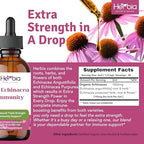 boost your immunity with echinacea