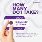 boost your immunity with elderberry gummies
