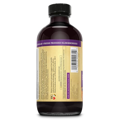 boost your immunity with elderberry
