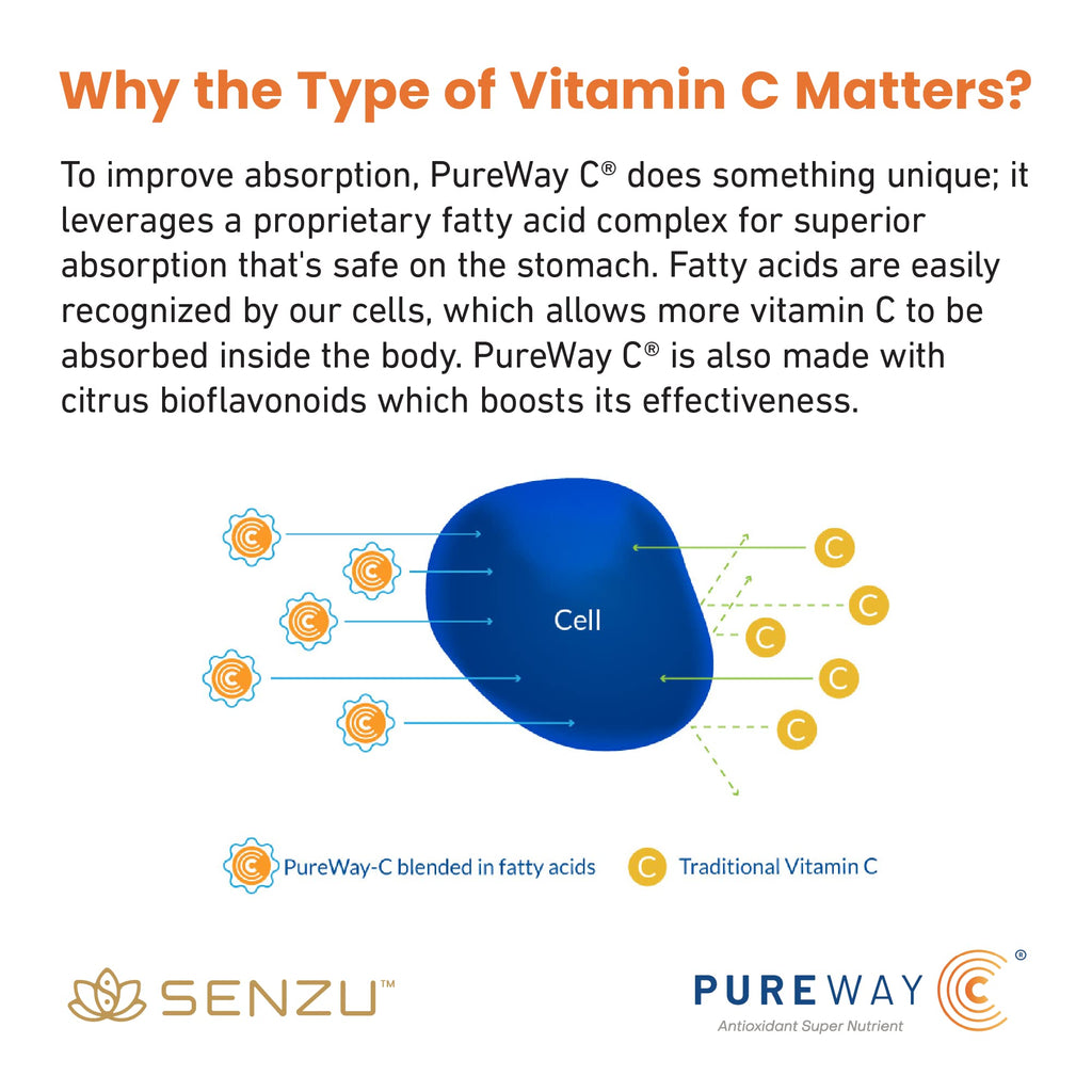 boost your immunity with elderberry