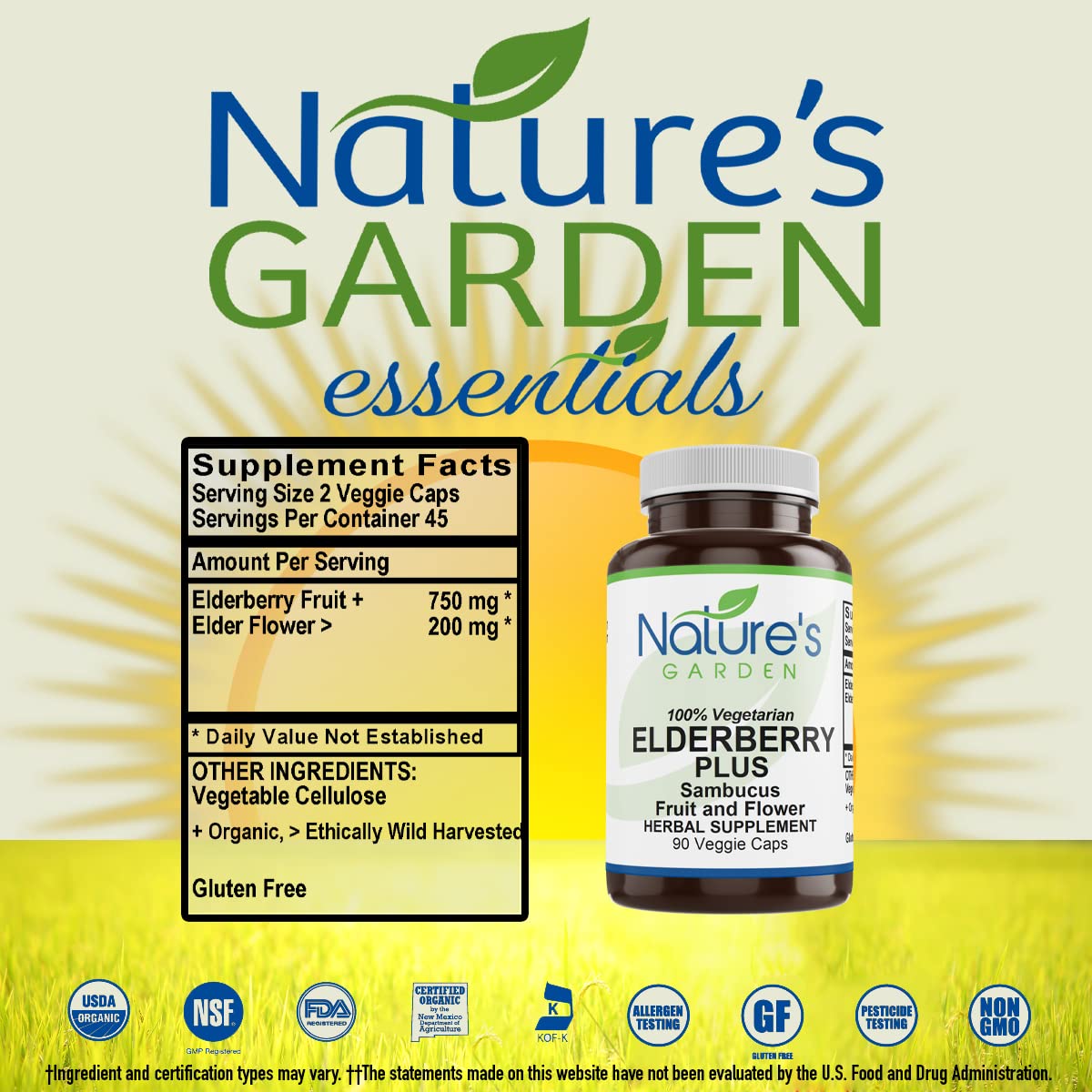 Boost your immunity with elderberry