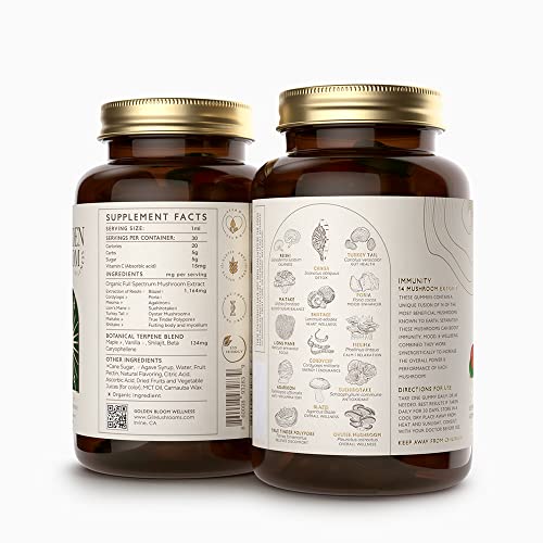 boost your immunity with mushroom gummies