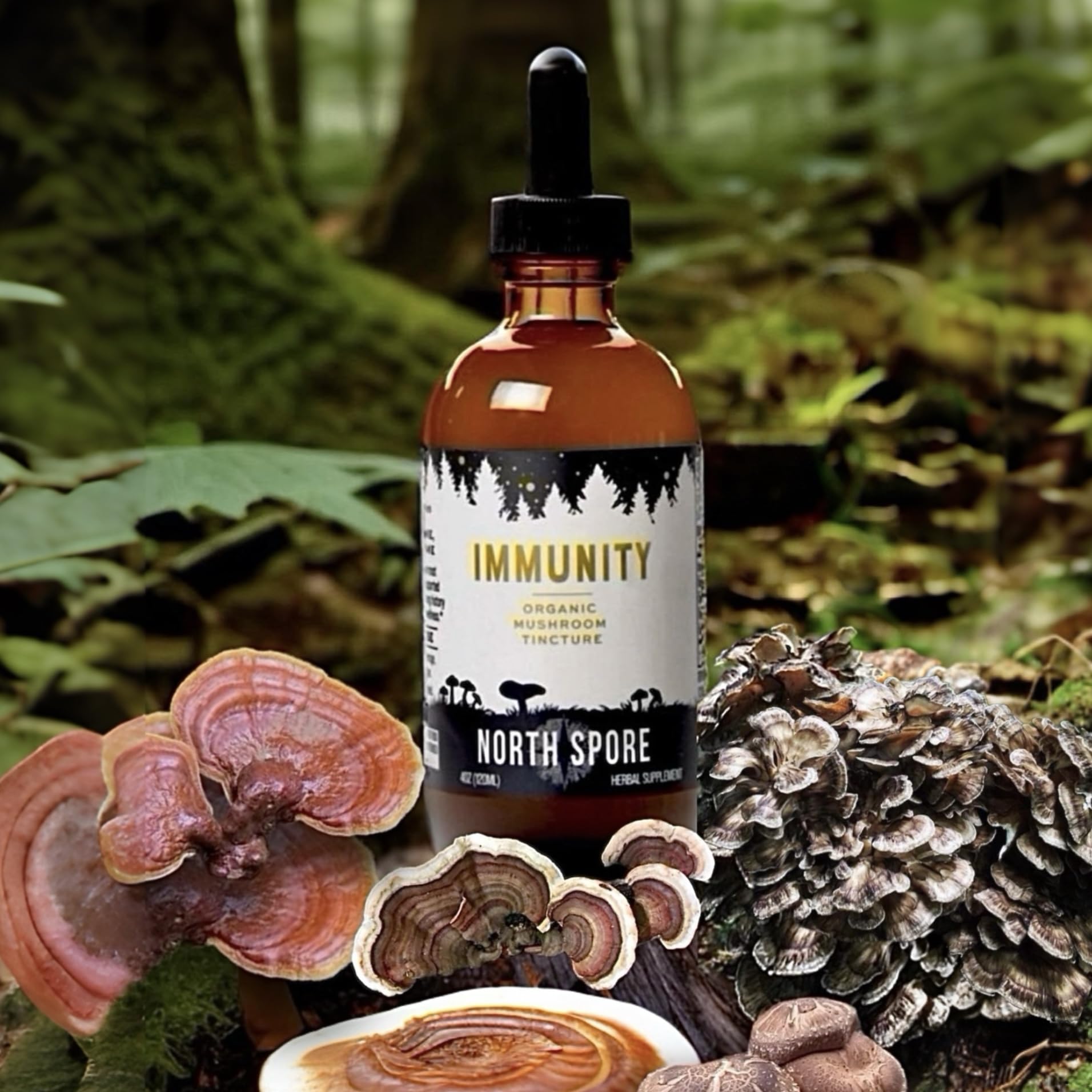 boost your immunity with mushrooms