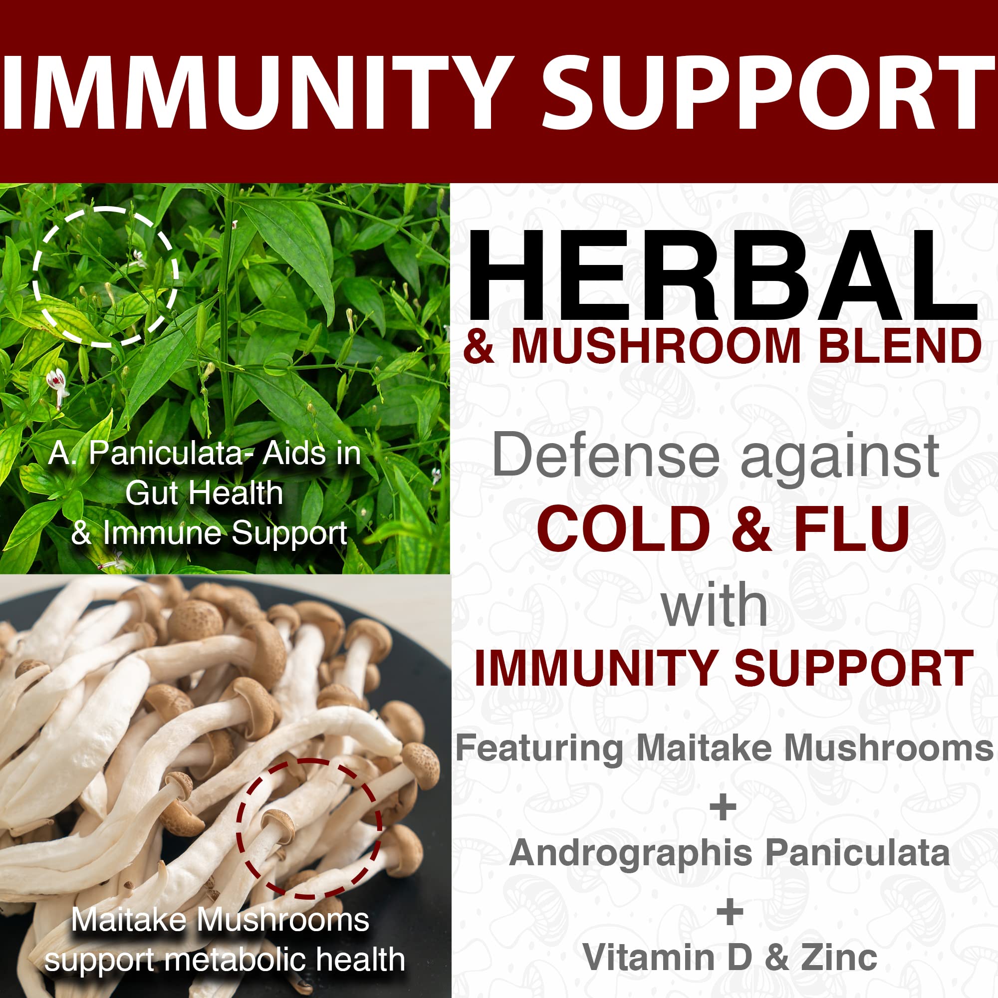 boost your immunity with mushrooms