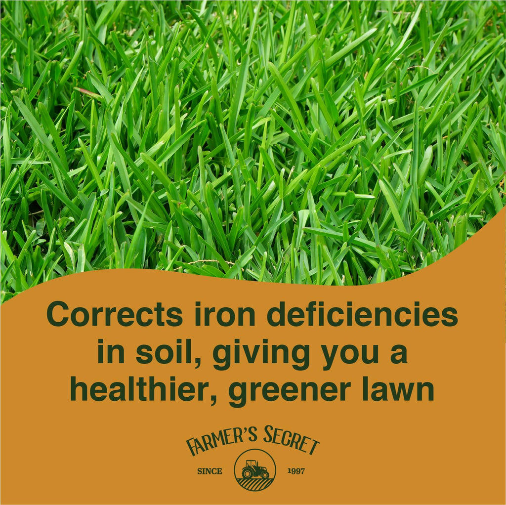 Boost your iron levels naturally