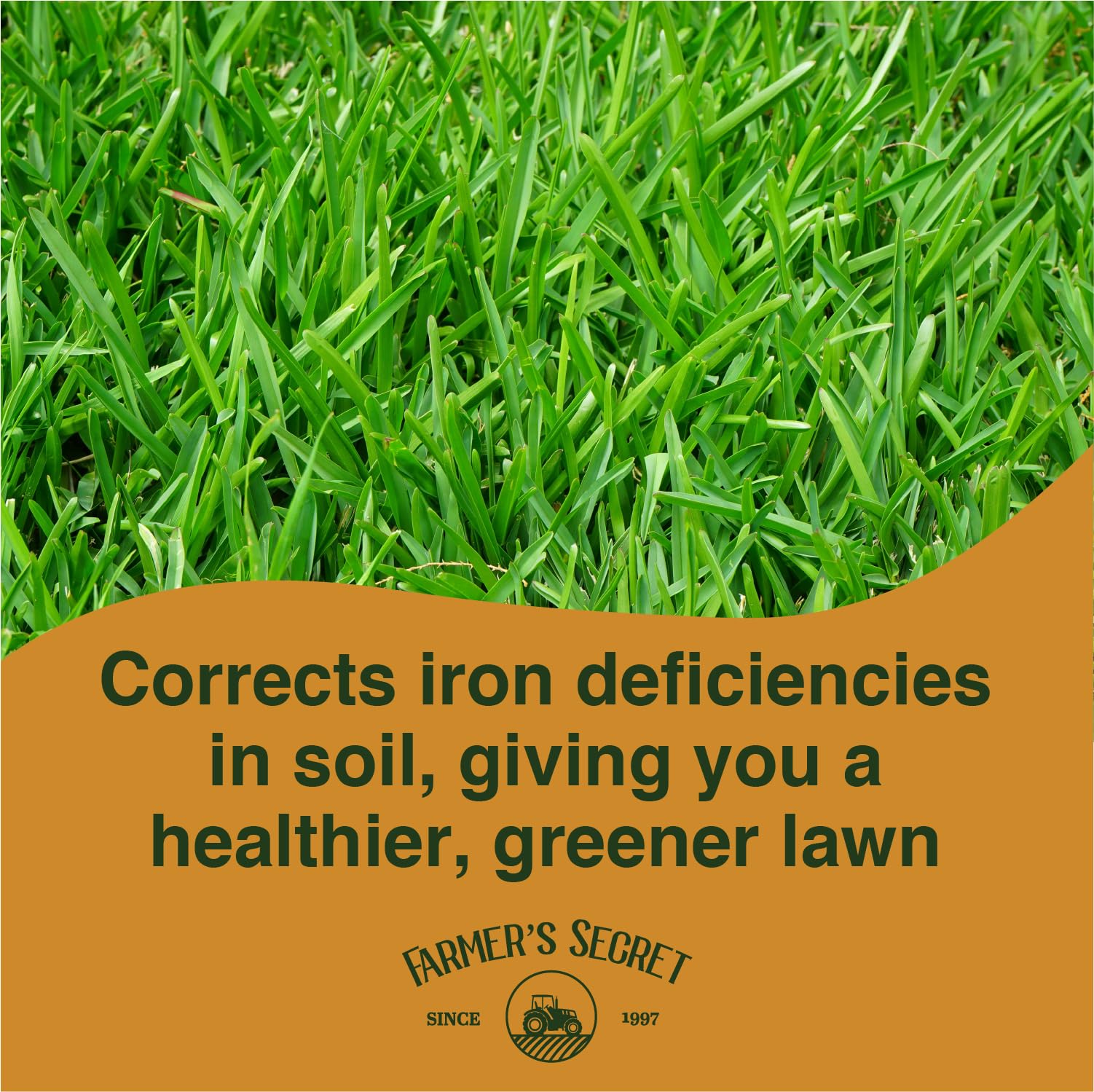 Boost your iron levels naturally