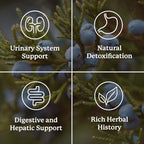 boost your kidney function naturally